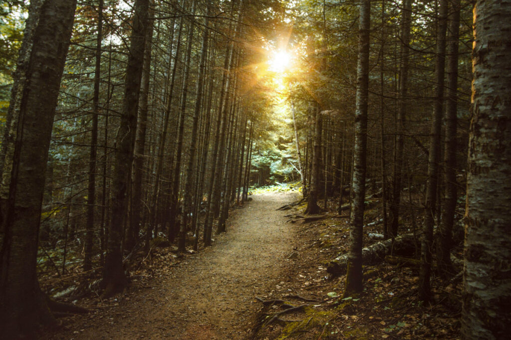 Hoti Hotéis anuncia Green Key em todos os hotéis - Presstur